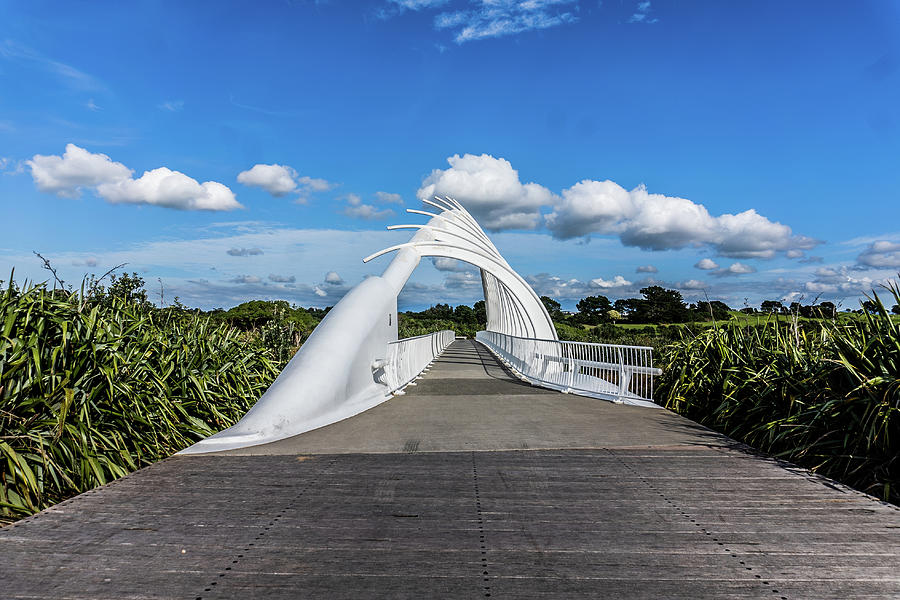 Te Rewa Rewa Bridge Photograph by Jim Gould | Pixels