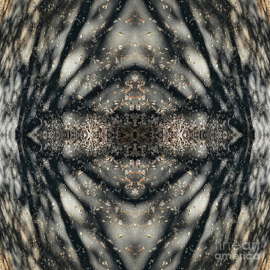 UAP, UFO, ET, extraterrestrial, alien, species, beings, spacecraft ...