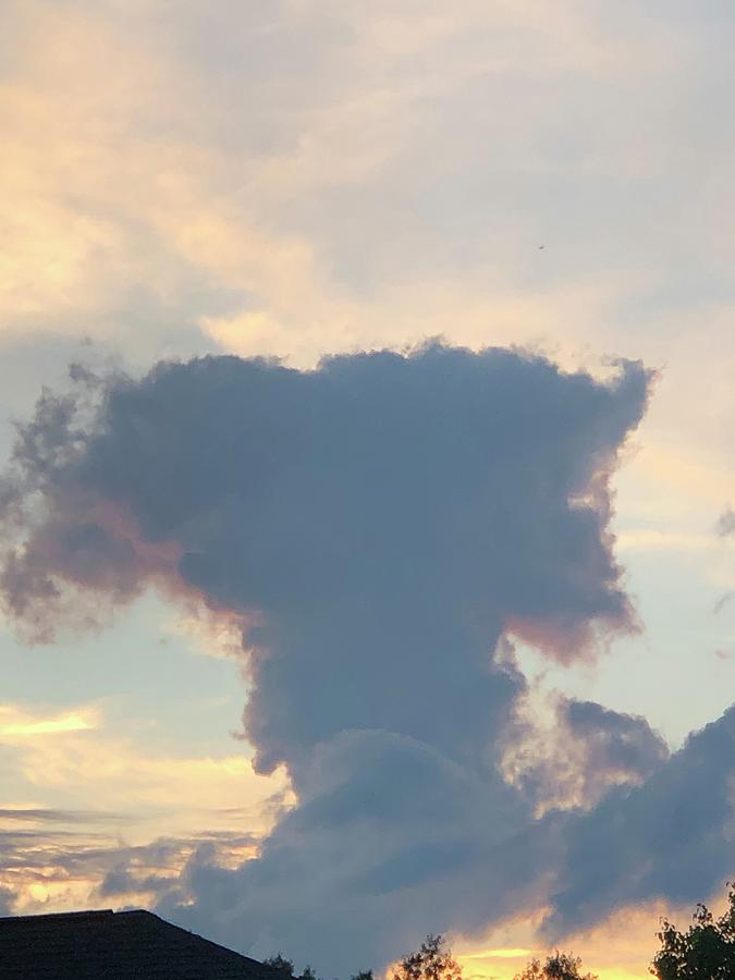 Updraft cloud Photograph by Freddy Alsante - Fine Art America