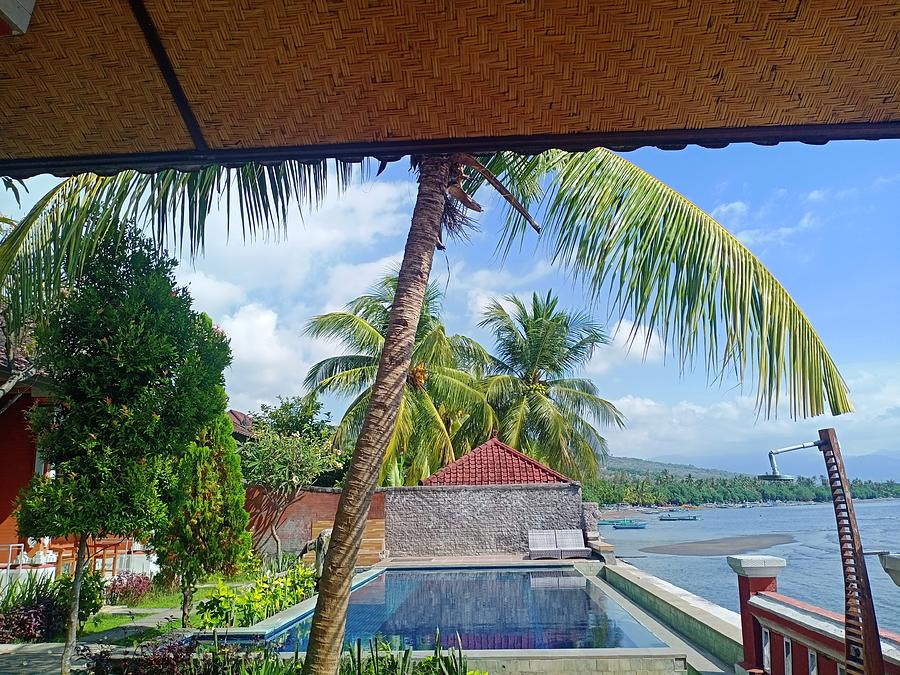 Wahyu dana Photograph by Adit Flo - Fine Art America