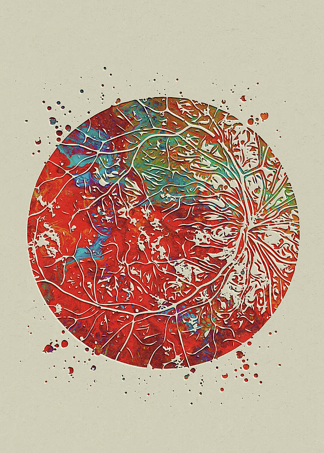 Watercolor Retinal Vessels Watercolor Print Human Eye Optometrist ...