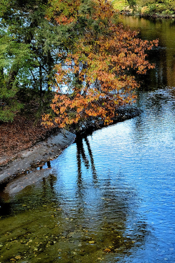 West River Reflection Photograph by Tom Singleton - Fine Art America