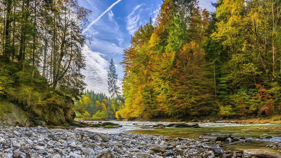 River Digital Art by Celestina Paul - Fine Art America