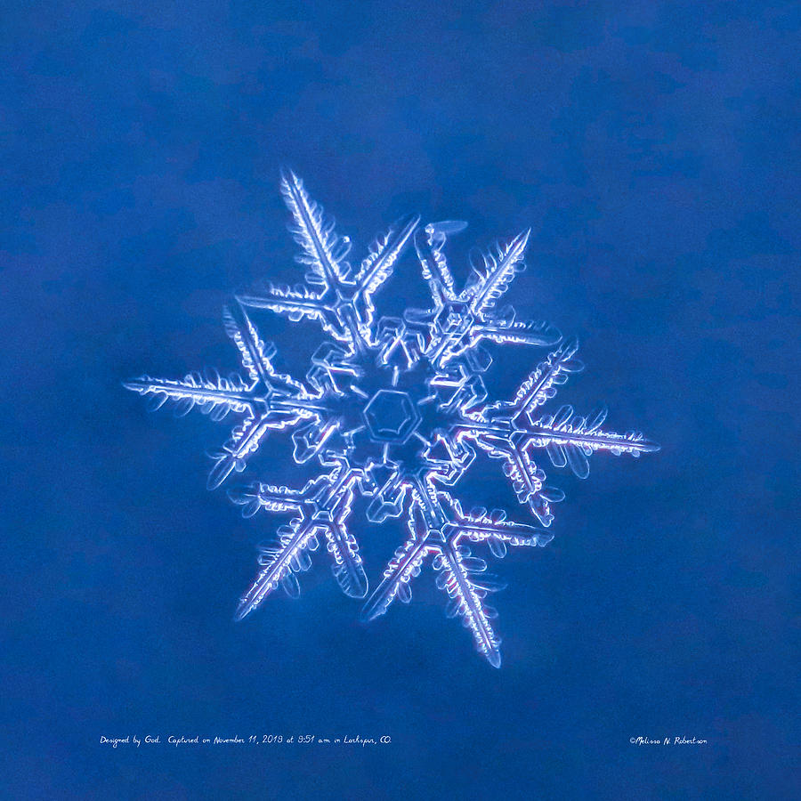 Inspirational Real Life Snowflake Photograph Photograph by Melissa N ...