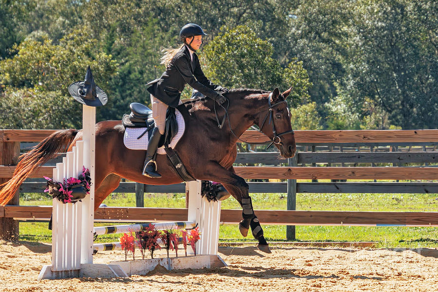 1653 Photograph by Robyn Cowlan - Fine Art America