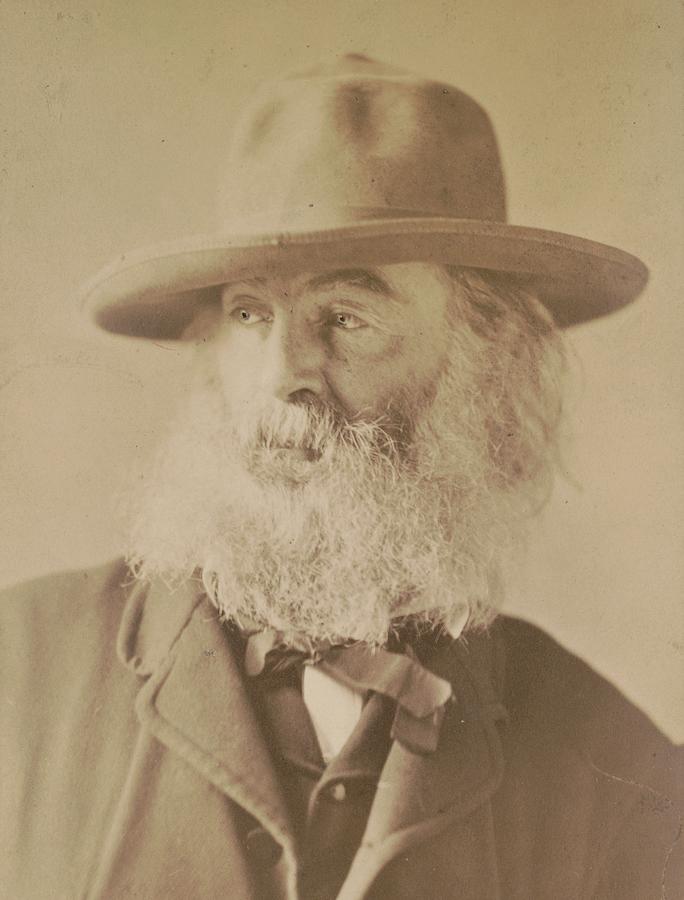 1860's, Poet Walt Whitman, Portrait Photograph by Visions History - Pixels