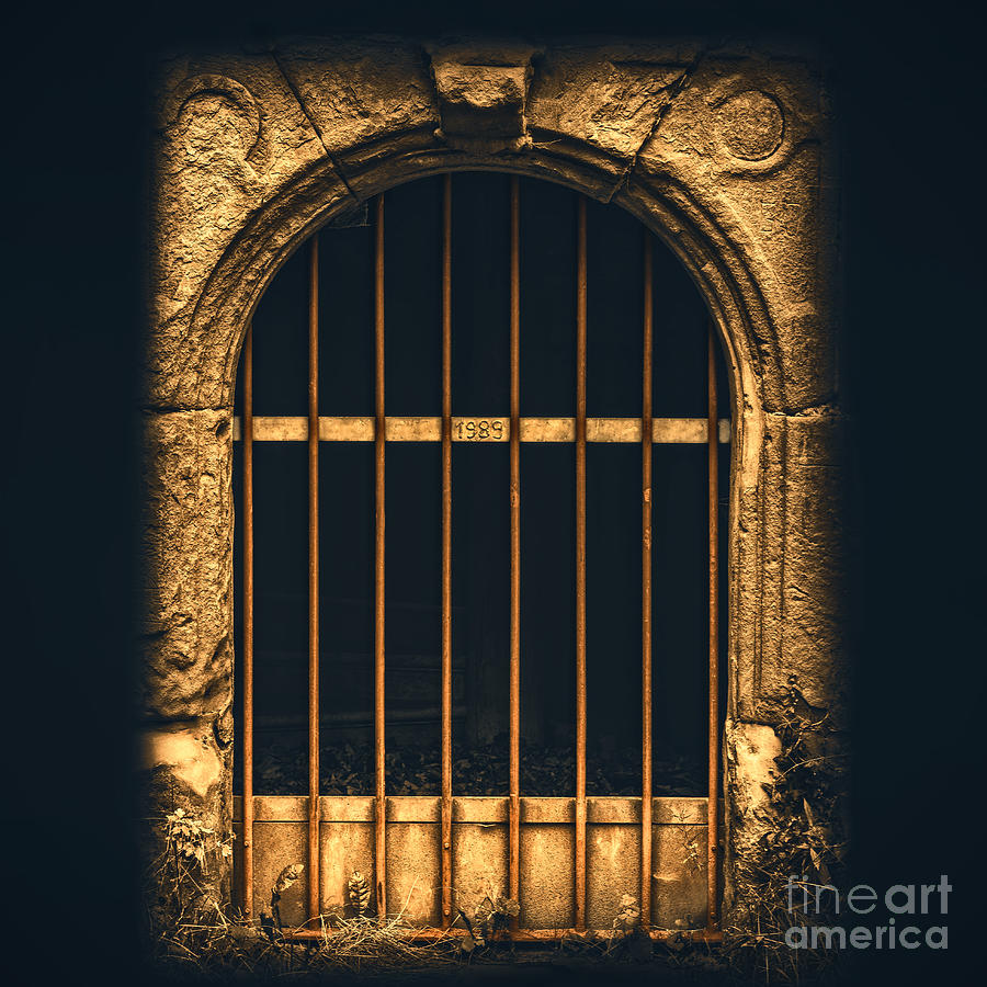 1989 Photograph by Ingo Menhard - Fine Art America