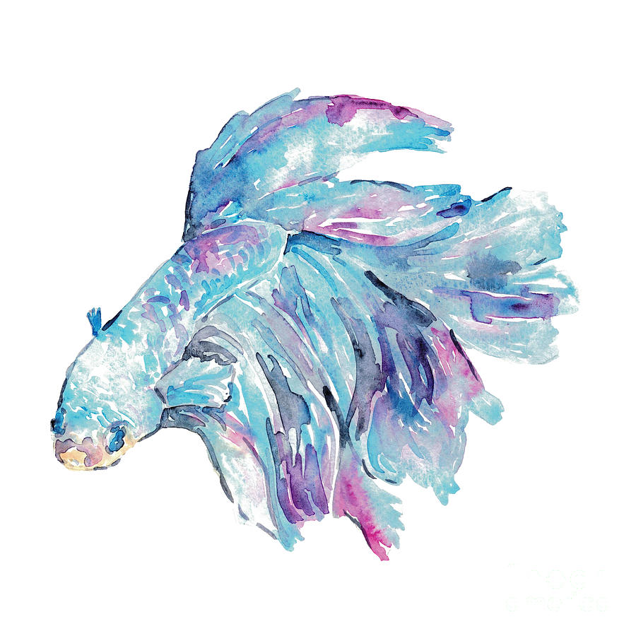 Betta fish watercolor painting Painting by Maryna Salagub | Fine Art ...