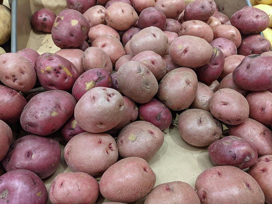 Bundle of Potatoes Supermarket Grocery Store Digital Art by Kelly ...