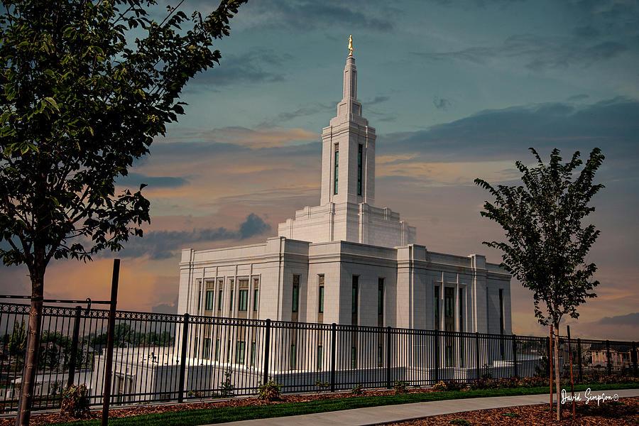 Casting Light Photograph by David Simpson - Fine Art America