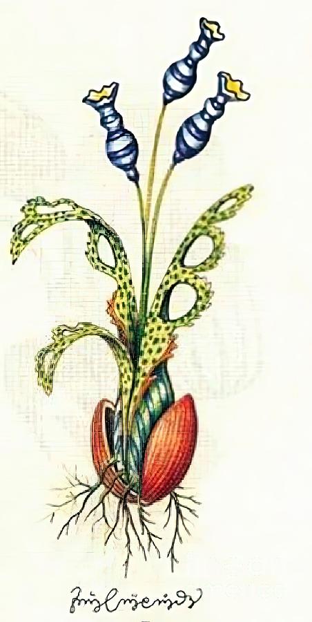 Codex Seraphinianus Painting by Moore Tracy - Fine Art America