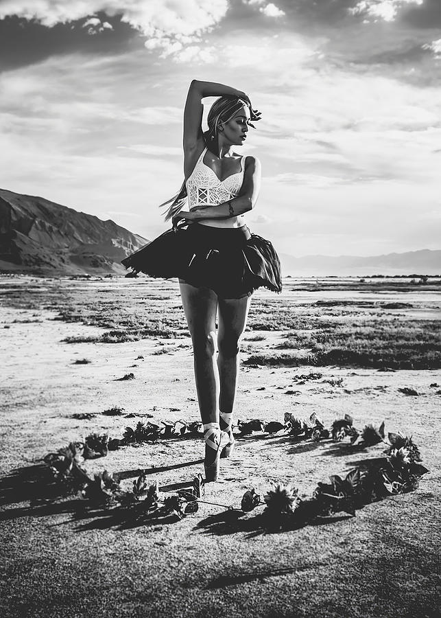 Hobby Dance Dance Ballet Photography #2 Digital Art by Towery Hill ...