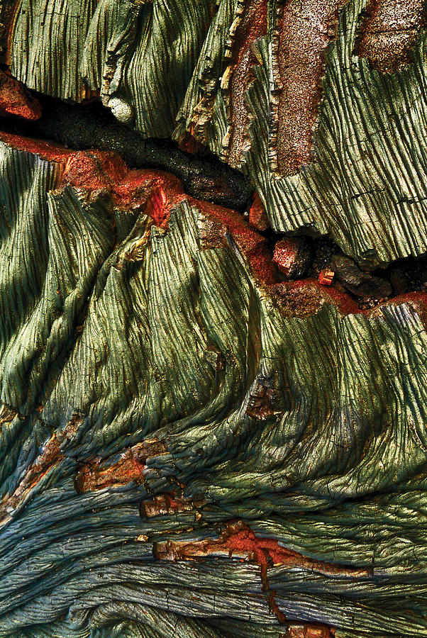 2 Photograph by Janne E Watson - Fine Art America