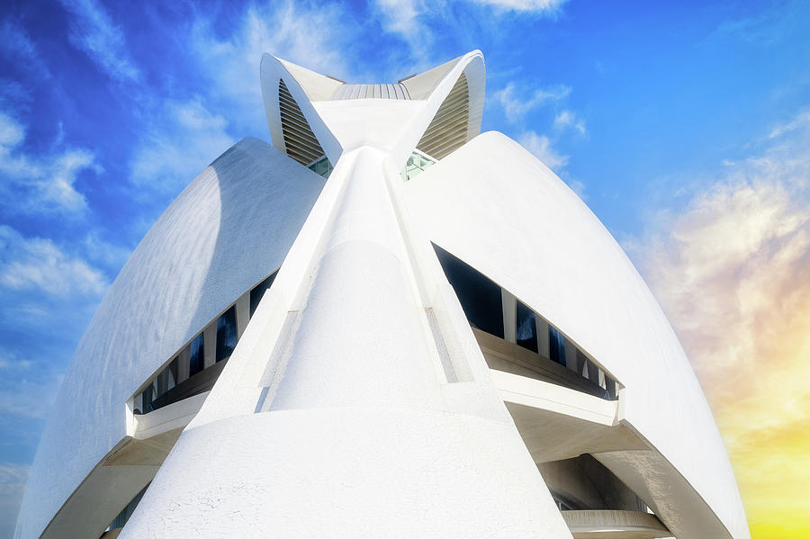 Palace Of Arts Of Queen Sofia Photograph By Roberto Machado Noa Fine