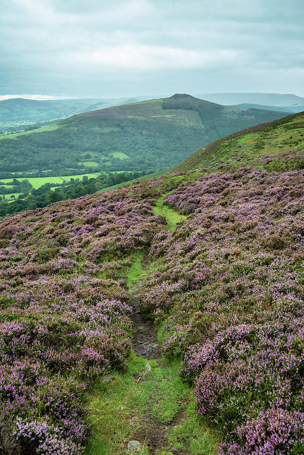 Stunning landscape image of Bamford Edge in Peak District Nation ...