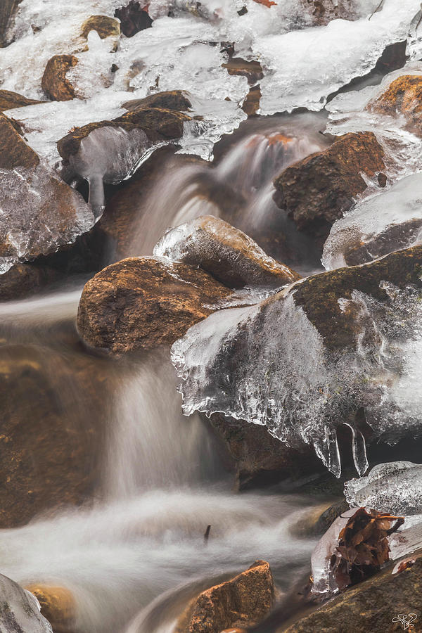 Winter Solace 7 Photograph by Thomas Patrick Kennedy - Fine Art America