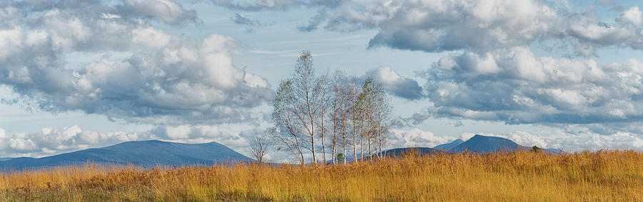 Zeljava Air Base in Zeljava, Croatia #2 Photograph by Ivan Batinic ...