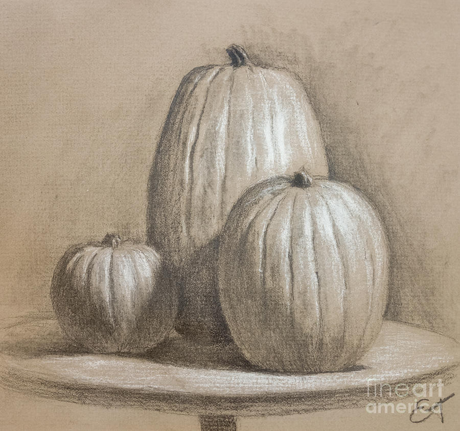 3 Pumpkins Still-Life Drawing by Eric Theodore - Fine Art America