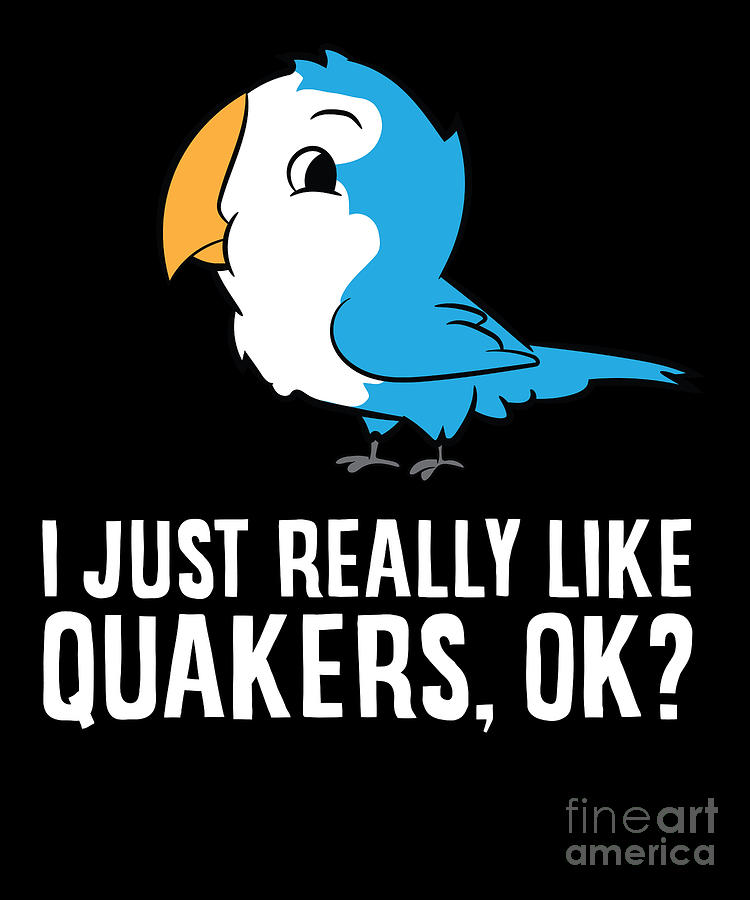 Quaker Parrot Lover I Just Really Like Quaker Parakeets Digital Art By Eq Designs Fine Art America