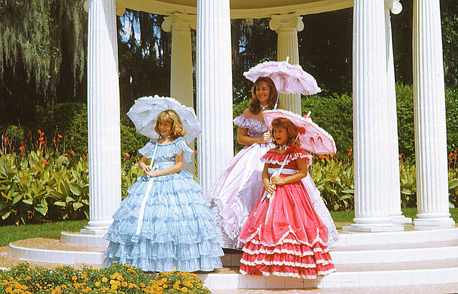 3 Southern Belles Photograph by Murray Dowding | Pixels