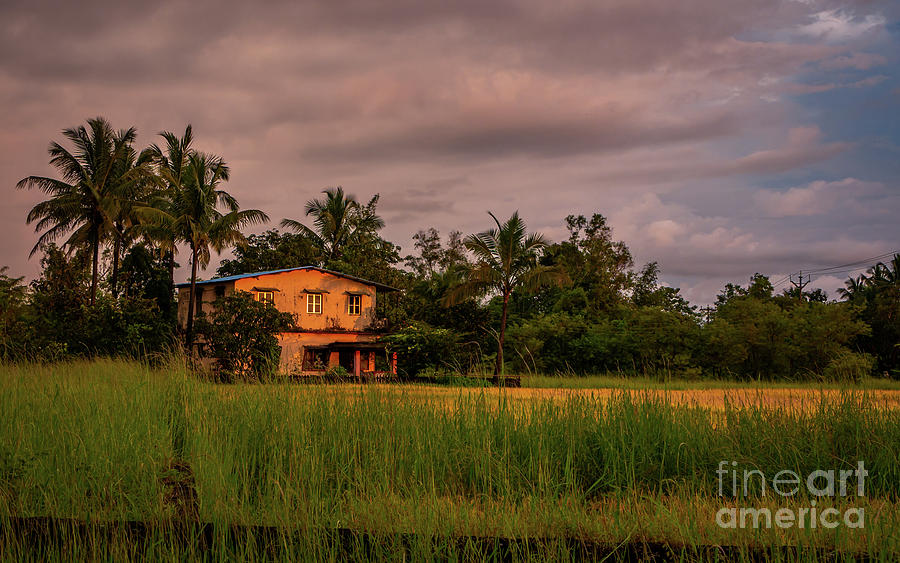 Traditional Indian village house surrounded by green grass and b #3 ...