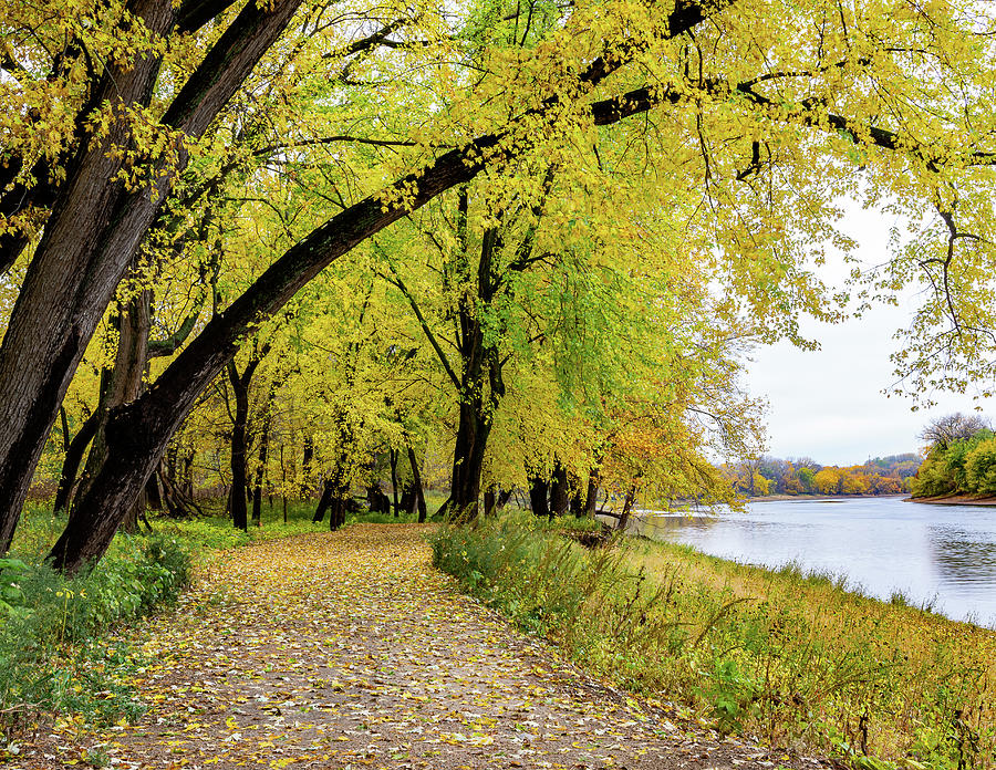 Fort Snelling State Park Pike Island Trail Photograph by Don Anderson ...