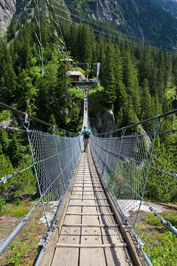 4454862 Suspension Bridge, Switzerland Photograph by Giovanni ...