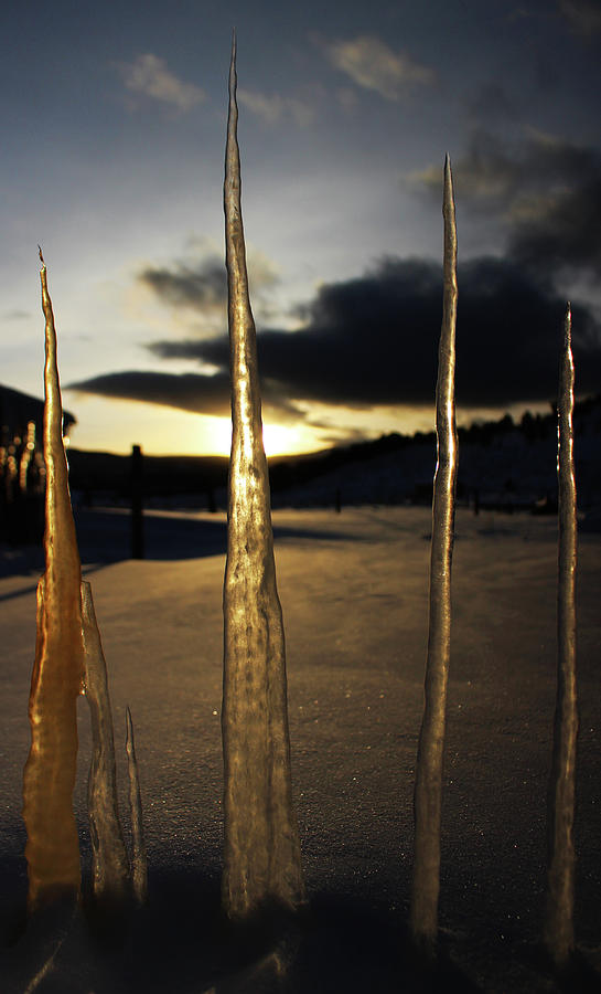 #49 Photograph by Wesley Hahn | Fine Art America