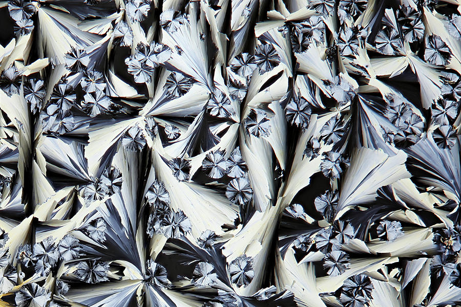 Abstract microscope image Photograph by Henri Koskinen - Fine Art America