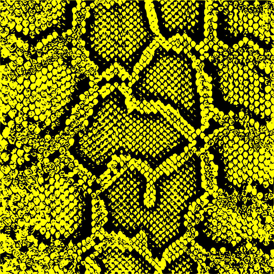 Python Skin Digital Art by Micheal Dent | Fine Art America
