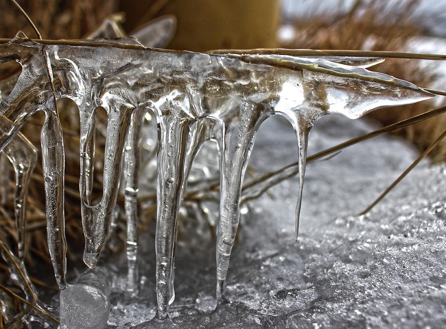 #60 Photograph by Wesley Hahn - Fine Art America