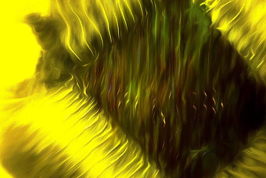 No Title Digital Art by Charles Carlos Odom - Fine Art America