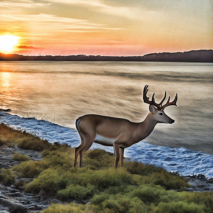 8 pt Buck Watching Fog Roll In Painting by George Lea - Pixels