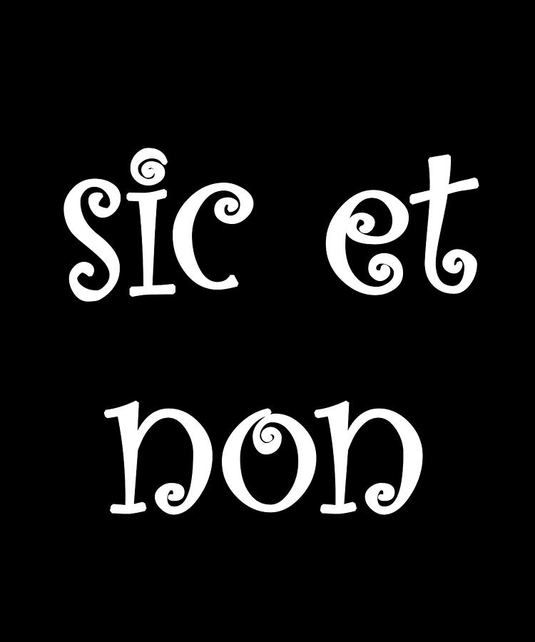 Sic Et Non Digital Art by Vidddie Publyshd - Fine Art America