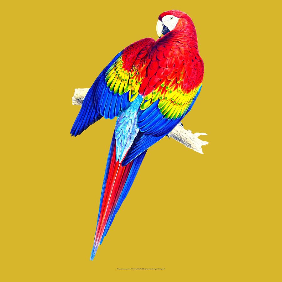 This is a macaw parrot. This Image Modified Design and create by Artist Aqeel. A Digital Art by ...