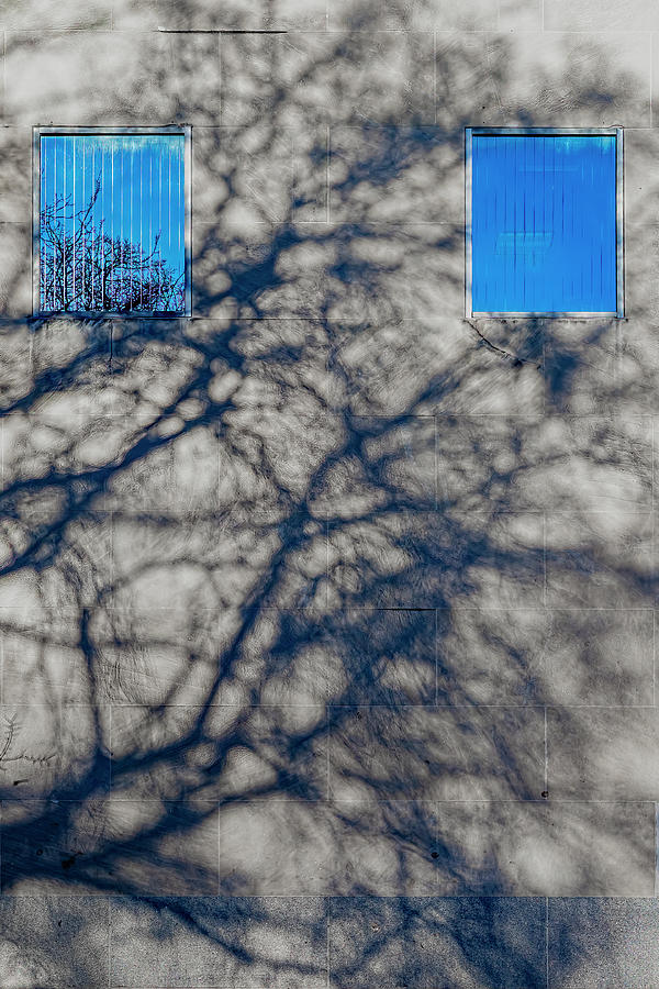 Windows #9 Photograph by Robert Ullmann - Fine Art America