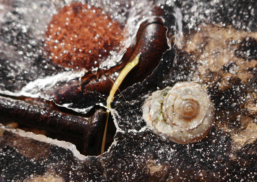 #93 Photograph by Wesley Hahn - Fine Art America