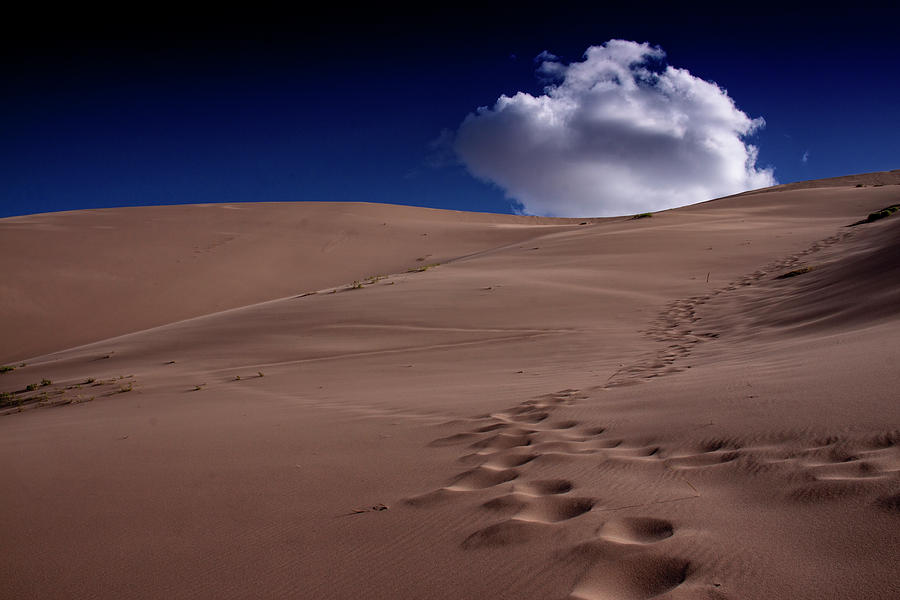 A Cloud In The Gobi Desert Photograph By El Branden Brazil Fine Art America