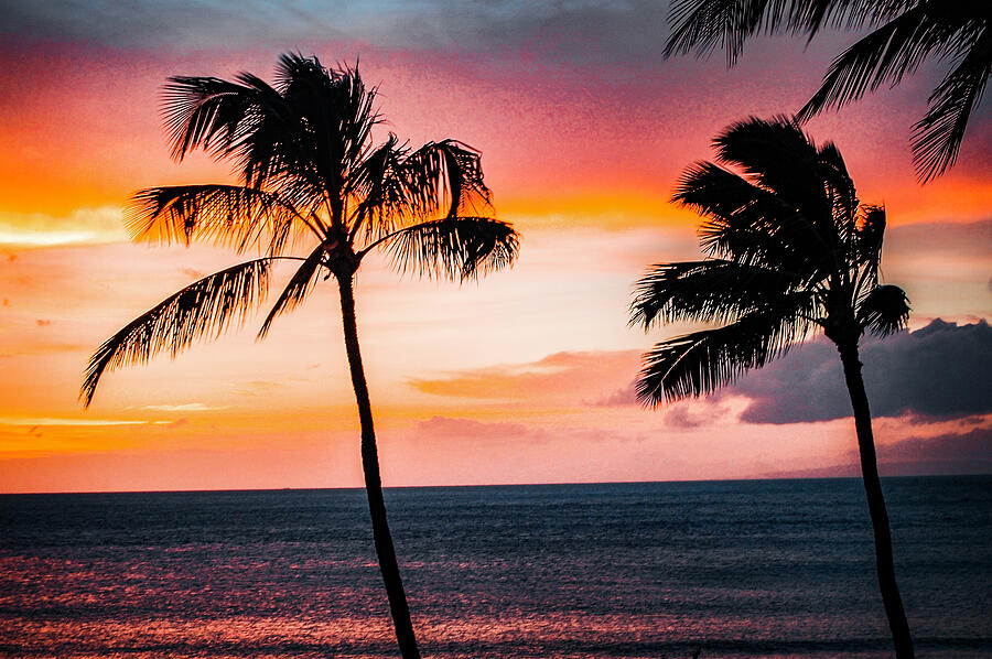 A colorful sunset in paradise, Oahu, Hawaii. Photograph by Kimberly ...