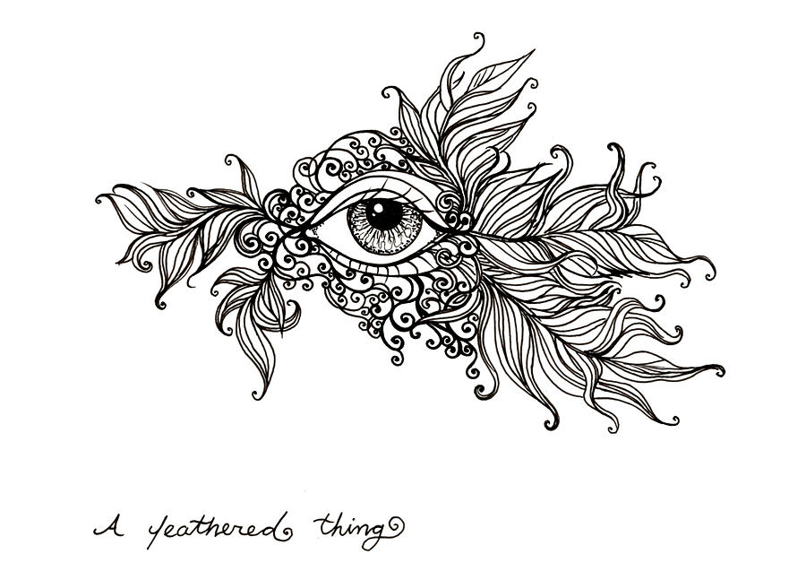 A Feathered Thing - line art Drawing by Katherine Nutt - Fine Art America