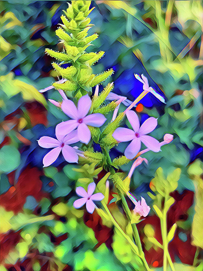 A Flower Plant Digital Art by Naveen Sharma - Pixels