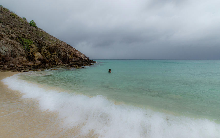 A mermaid spotted Photograph by Amit Barkan - Pixels