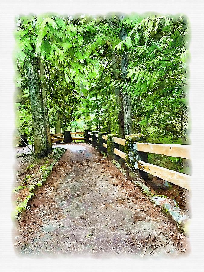 A Perfect Path Mixed Media by Bonnie Bruno | Pixels