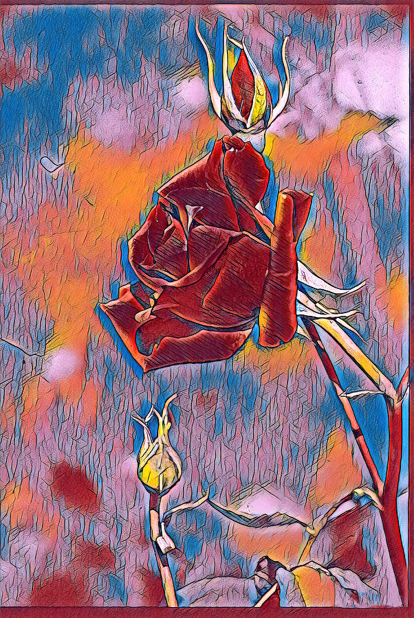 A Rusty Rose Digital Art by Robert Ebert - Fine Art America