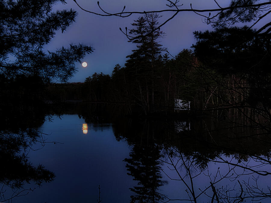 A Setting Full Moon Photograph by Scott Loring Davis - Fine Art America