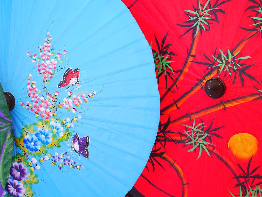 A Sheltering Nature Photograph by Chrystyne Novack - Fine Art America