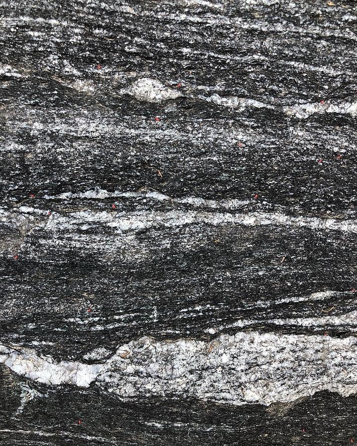 A-stone-ishing patterns 2 Photograph by Matilde Arena - Fine Art America