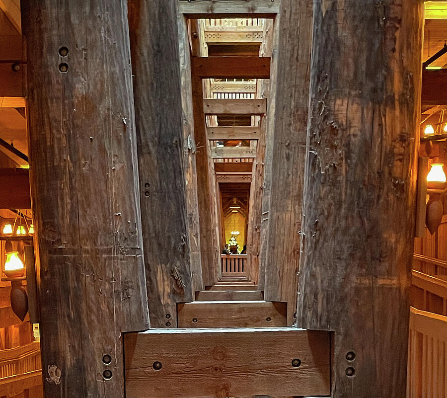 A View Inside Noah's Ark Photograph by Michael Wright - Fine Art America