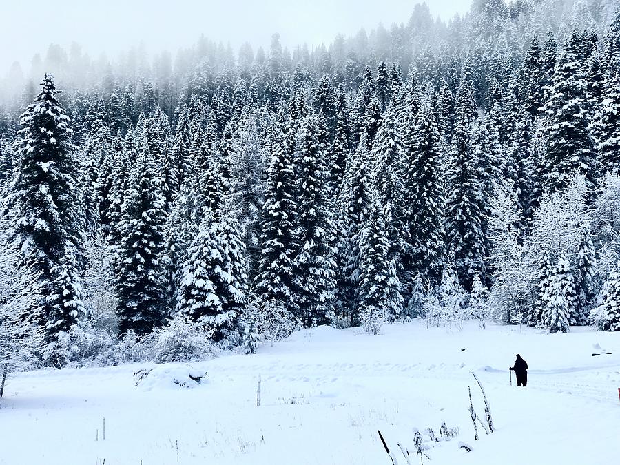 A Walk In The Snow Photograph by Tom Gresham - Fine Art America