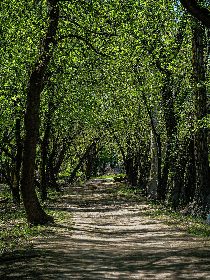 A Warm Spring Stroll Photograph by Caleb Overly - Fine Art America